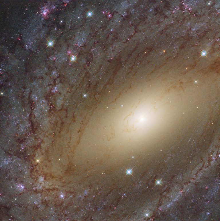 おおかみ座の美しき惑星状星雲NGC 5882 | アストロピクス